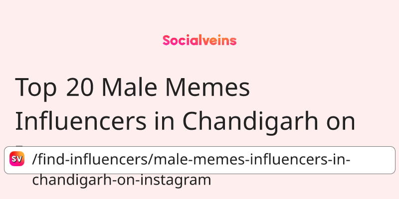 Top 20 Male Memes Influencers in Chandigarh on Instagram